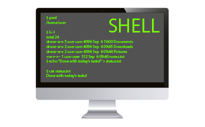 Shell - Geschichte und Nutzung - CEOsBay